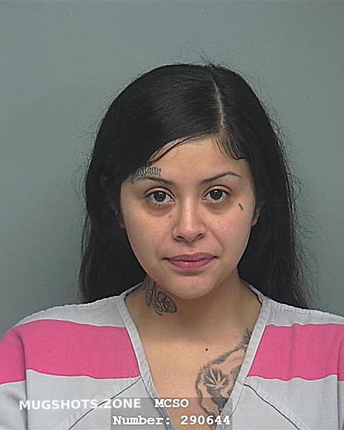 GUZMAN ODALIS ESTER 01/28/2024 - Montgomery County Mugshots Zone