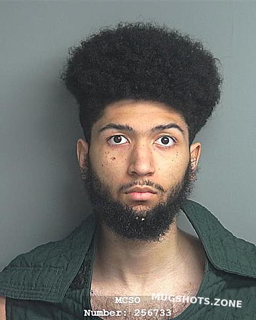 JOHNSON JAVON ANTHONY 02/06/2024 - Montgomery County Mugshots Zone