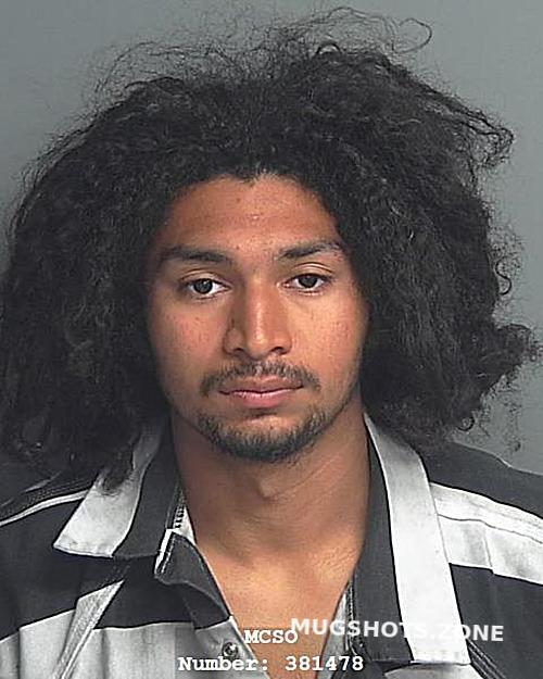 SEPULVEDA VICTOR IGNACIO 02/13/2024 - Montgomery County Mugshots Zone
