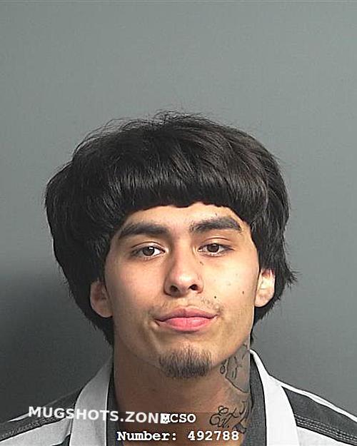 KOPP NICHOLAS RENE 02/24/2024 - Montgomery County Mugshots Zone