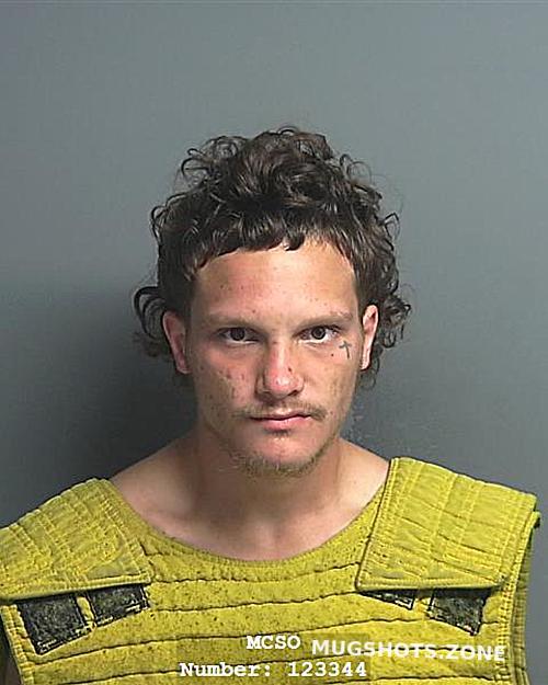 Jones Dylan Michael 05 23 2024 Montgomery County Mugshots Zone