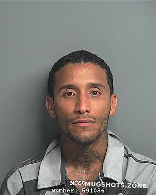 VAZQUEZ TRINIDAD HECTOR ANTHONY 05/28/2024 - Montgomery County Mugshots ...