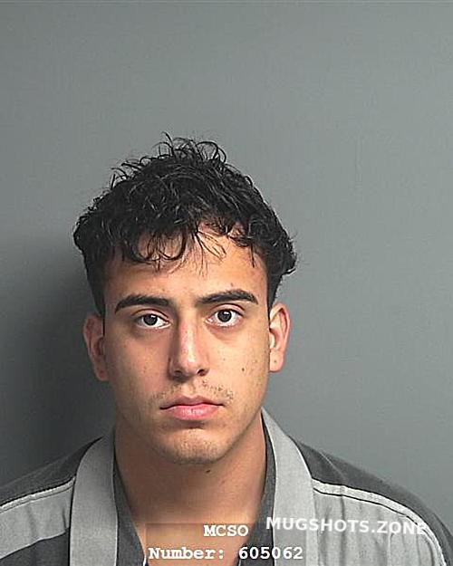 GONZALEZ JACOB ELIJAH 08/11/2024 - Montgomery County Mugshots Zone