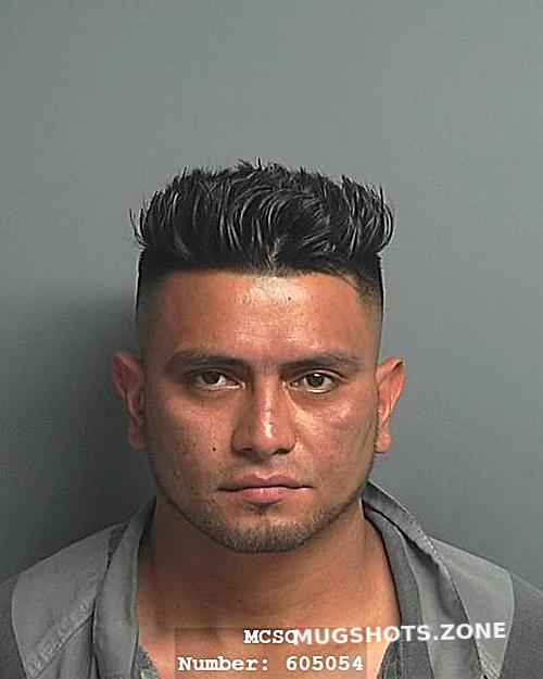 BACA HERNANDEZ CLAUDIO JOSUE 08/11/2024 - Montgomery County Mugshots Zone