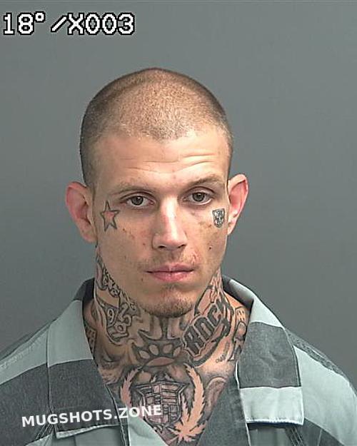 ABRAMSON NATHAN ALLEN 08/13/2024 - Montgomery County Mugshots Zone