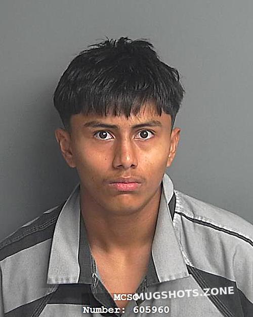 GONZALEZ LOPEZ GABRIEL 08/15/2024 - Montgomery County Mugshots Zone