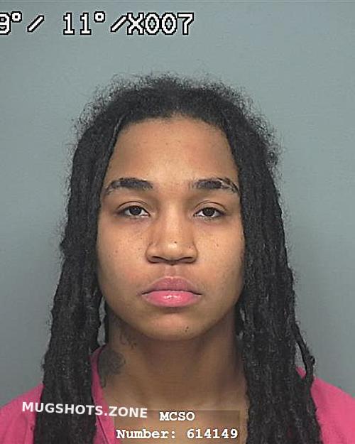 ALEXANDER SOLAGE ANSARI 09/24/2024 - Montgomery County Mugshots Zone