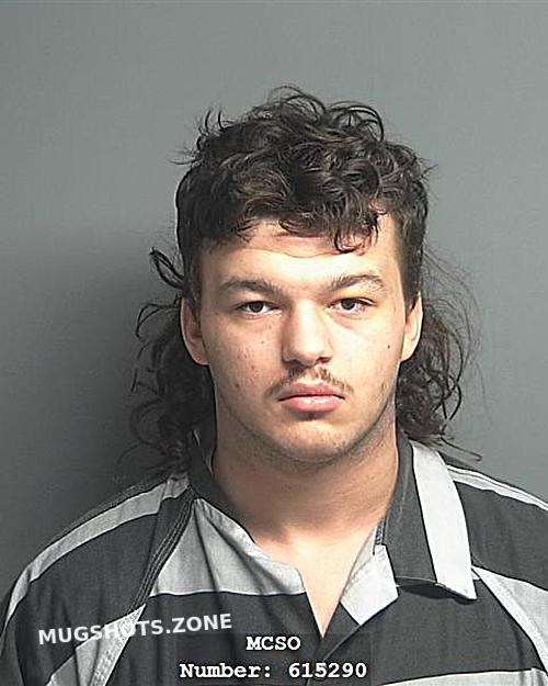 BAIRD NIKOLAS MICHAEL 10/01/2024 - Montgomery County Mugshots Zone