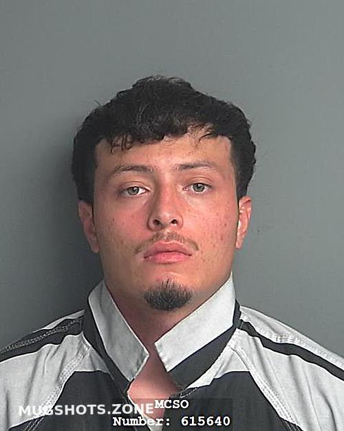 MEDINA WILLIAM DANIEL 10/02/2024 - Montgomery County Mugshots Zone