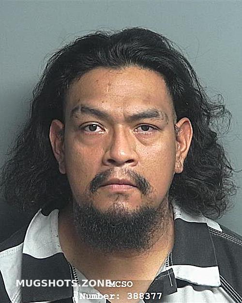 RUIZ SANCHEZ DAVID 10/08/2024 - Montgomery County Mugshots Zone