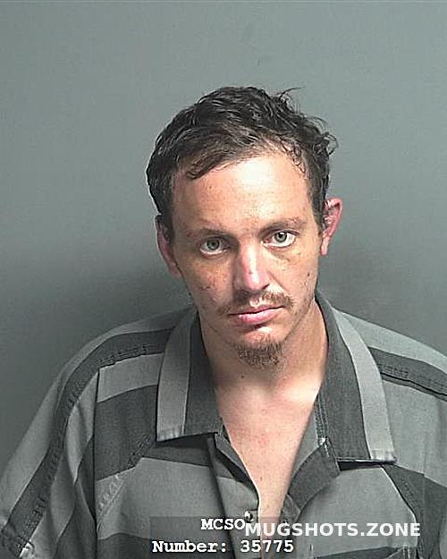 BORGFIELD CODY RAY 10/16/2024 - Montgomery County Mugshots Zone