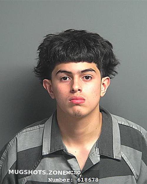 PALACIOS JARED ETHAN 10/18/2024 - Montgomery County Mugshots Zone