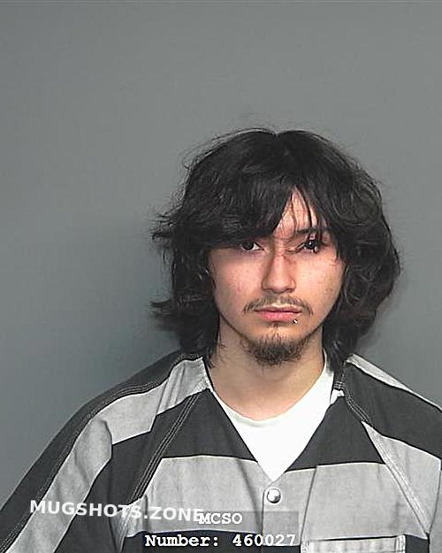 CELEDON ANGEL DANIEL 11/12/2024 - Montgomery County Mugshots Zone