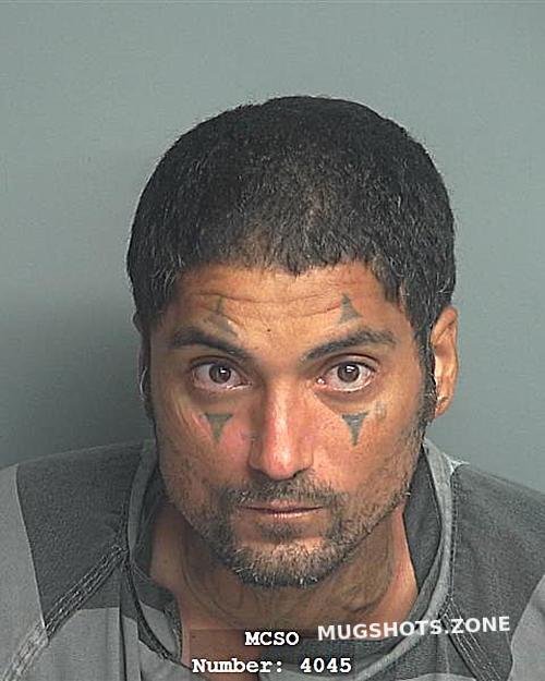 FLORES VICTOR MANUEL JR 11/13/2024 - Montgomery County Mugshots Zone
