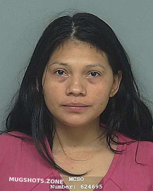 MENDEZ PATRICIA 11/19/2024 - Montgomery County Mugshots Zone