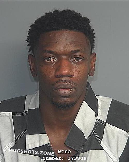 WILLIAMS EMILE ALBERT 11/22/2024 - Montgomery County Mugshots Zone