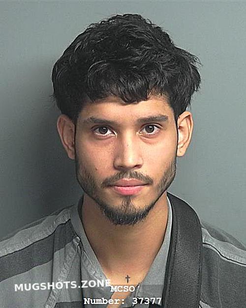 RUIZ CIPRIANO STEVEN 11/22/2024 - Montgomery County Mugshots Zone