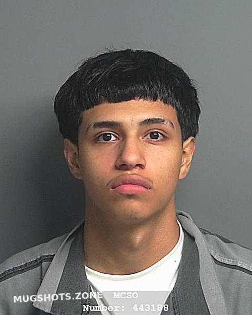 TRUJILLO ANTHONY 12/18/2024 - Montgomery County Mugshots Zone
