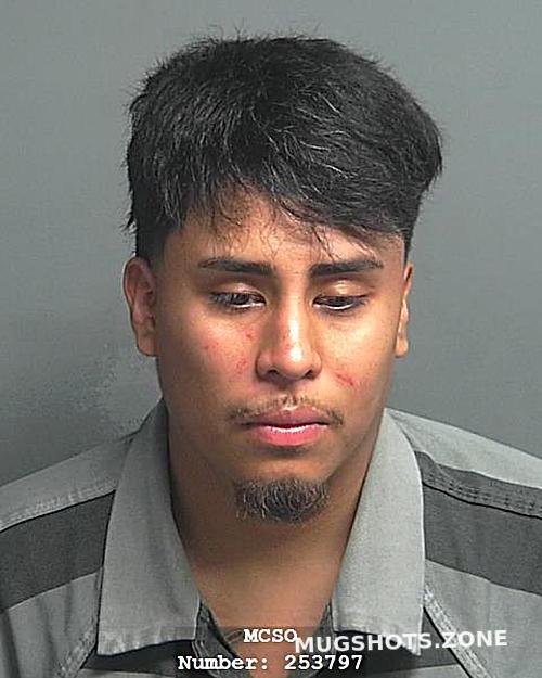 ANTONIO ELLIOTT 01/05/2025 - Montgomery County Mugshots Zone