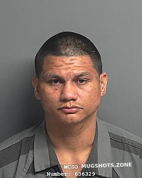 GONZALES JOSEPH JOEL 02/05/2025 - Montgomery County Mugshots Zone