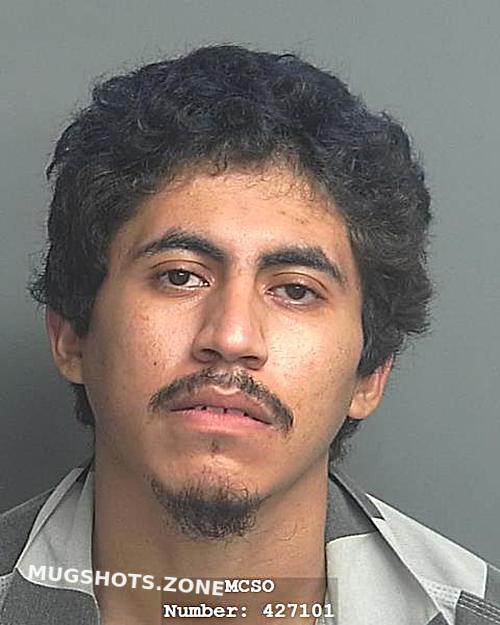 RAMIREZ NINO JONATHAN R 02/18/2025 - Montgomery County Mugshots Zone