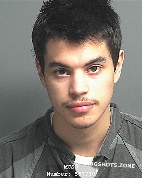 SERRANO NICHOLAS ALEXANDER 02/19/2025 - Montgomery County Mugshots Zone