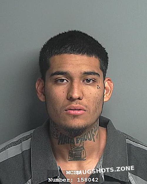 GONZALES DAVID MAX 02/28/2025 - Montgomery County Mugshots Zone