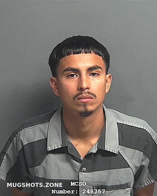 ALANIZ GABRIEL ANDREW 03/05/2025 - Montgomery County Mugshots Zone