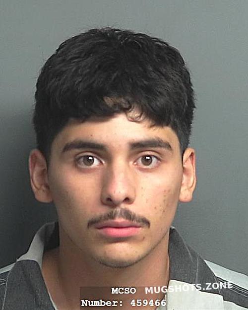 GONZALES ALEX 03/07/2025 - Montgomery County Mugshots Zone