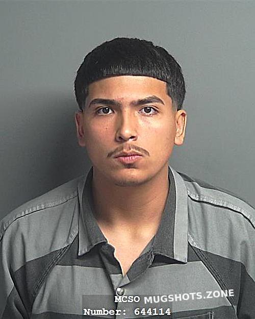 DAVALOS ARTURO 03/09/2025 - Montgomery County Mugshots Zone
