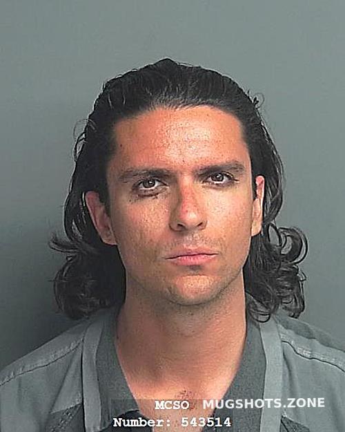 WOELFEL DAVID ISAIAH 03/16/2025 - Montgomery County Mugshots Zone