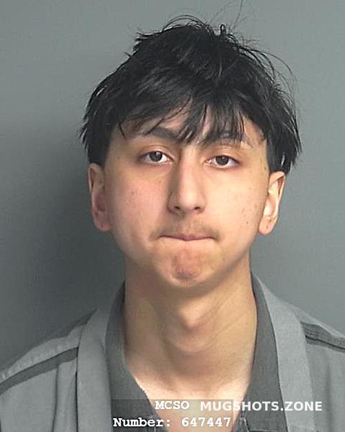 REYES VINCENT MATHEW 03/25/2025 - Montgomery County Mugshots Zone