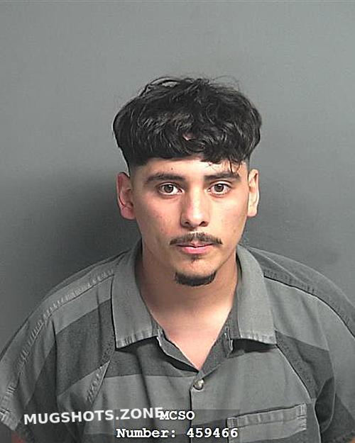 GONZALES ALEX 03/25/2025 - Montgomery County Mugshots Zone