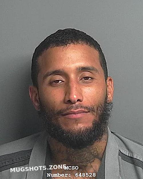 VAZQUEZ TRINIDAAD HECTOR ANTHONY 03/30/2025 - Montgomery County ...