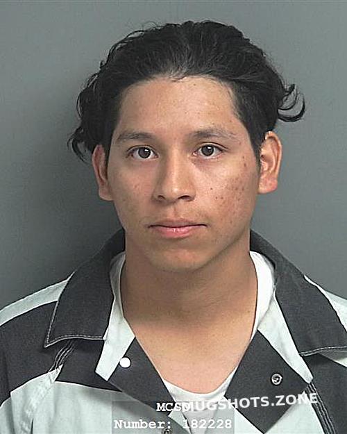 OLVERA JOSE ALBERTO 04/27/2025 - Montgomery County Mugshots Zone