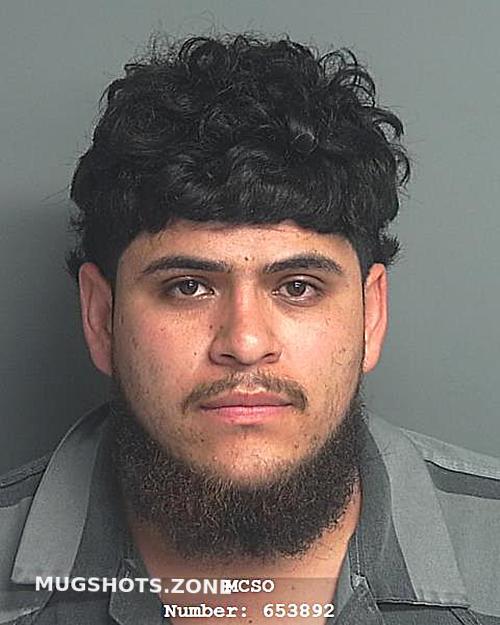 MENDETA CAPETILLO ALEXIS 04/27/2025 - Montgomery County Mugshots Zone