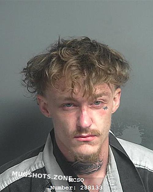 GOGAN JACOB AUSTIN 06/02/2025 - Montgomery County Mugshots Zone