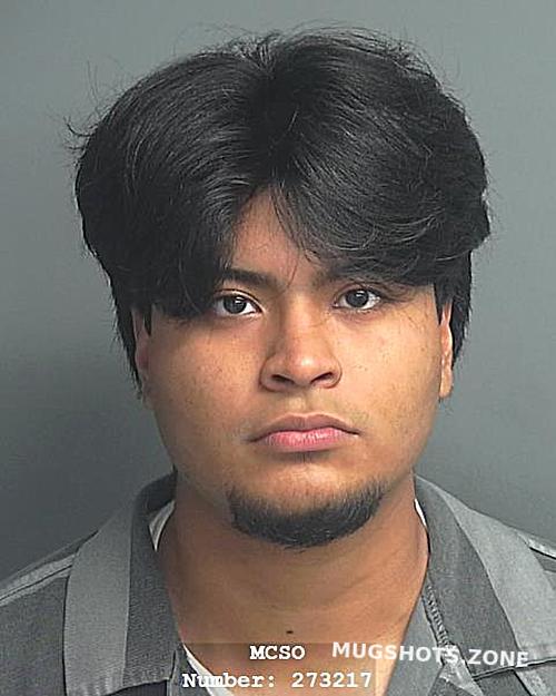 FIGUEROA ELMER JOSE 06/02/2025 - Montgomery County Mugshots Zone