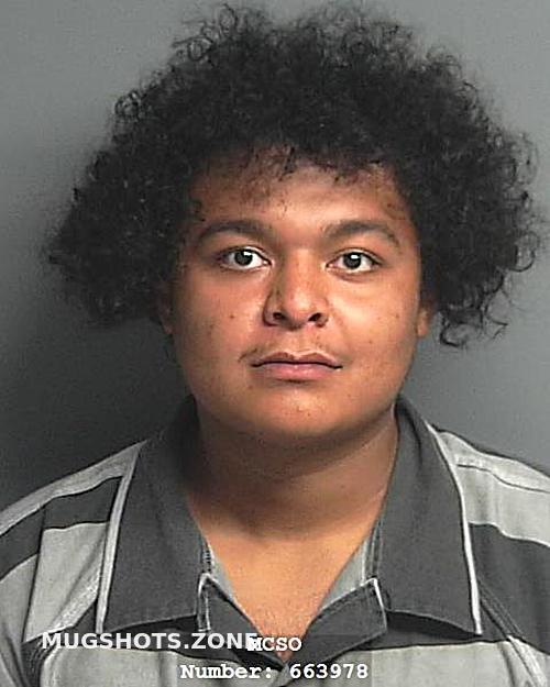 APPLING COREY RAND JR 06/13/2025 - Montgomery County Mugshots Zone