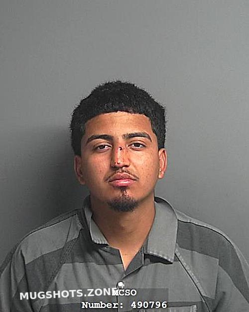 PAZ EDWIN 06/14/2025 - Montgomery County Mugshots Zone