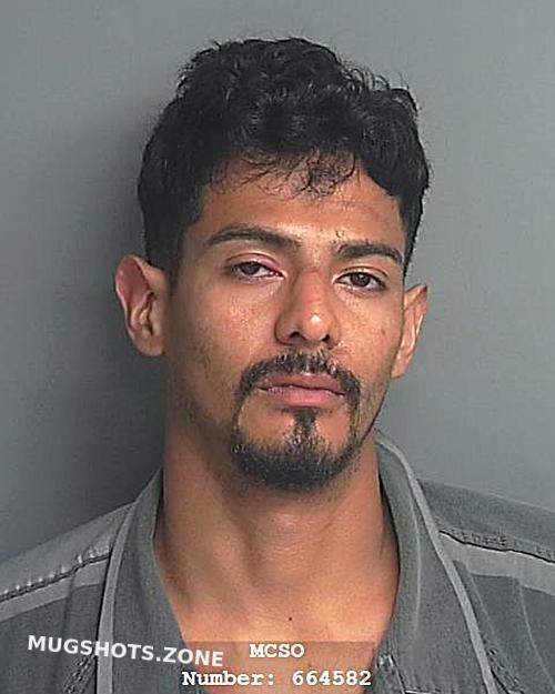 TORRES RAMIREZ FREDDY EFRAIN 06/17/2025 - Montgomery County Mugshots Zone