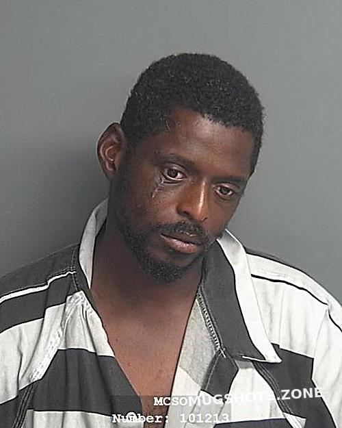Harrison Ernie Ray 06 25 2025 Montgomery County Mugshots Zone