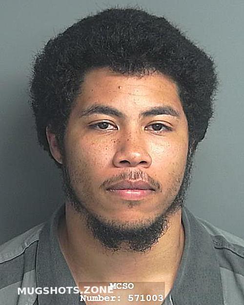 LEWIS TIMOTHY ALEXANDER 06/26/2025 - Montgomery County Mugshots Zone