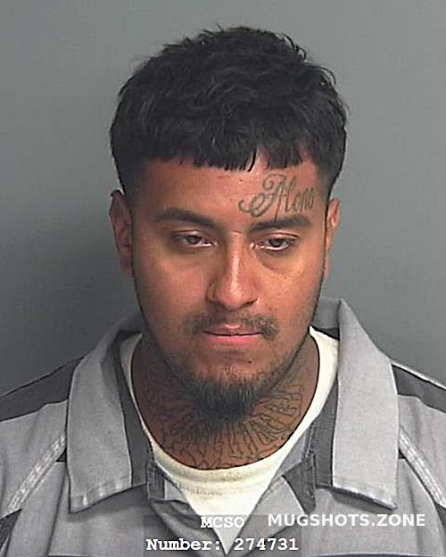 PANTOJA WALTER ISAAC 06/26/2025 - Montgomery County Mugshots Zone