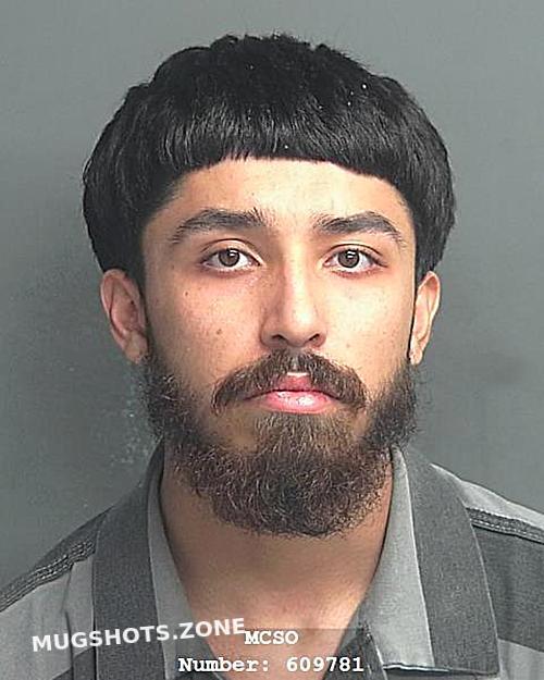 MEDINA SEAN ERIK 06/30/2025 - Montgomery County Mugshots Zone