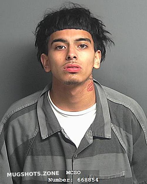 DELAROSA ISAIAH DANIEL 07/08/2025 - Montgomery County Mugshots Zone