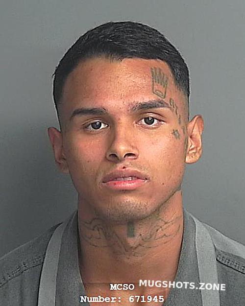 LEWIS JORGE JAVIER 07/24/2025 - Montgomery County Mugshots Zone