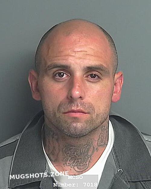 PAINTER DAVID MATHEW 09/17/2025 - Montgomery County Mugshots Zone