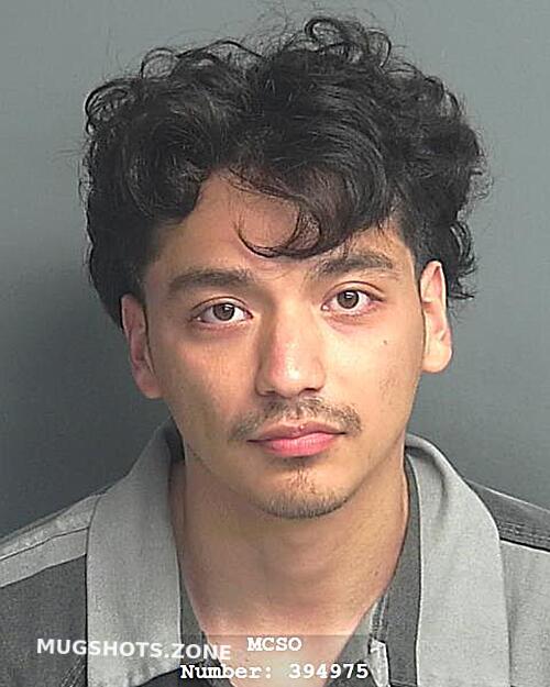LIRA EFRAIN JIMENEZ 10/11/2025 - Montgomery County Mugshots Zone