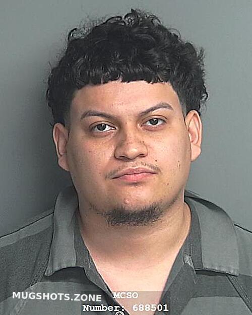 GONZALEZ DANIEL 10/21/2025 - Montgomery County Mugshots Zone
